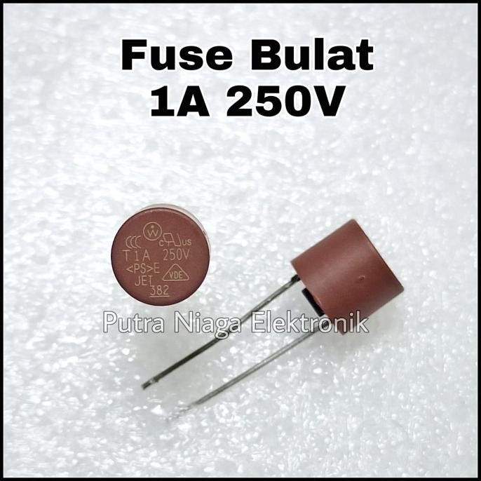 Jual Fuse Bulat 1A 250V Sikring Silinder Sekering PCB Board / T1A 250V ...