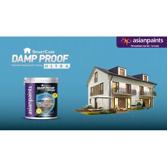 Jual Asian Paints SmartCare Damp Proof Ultra 20 Kg Waterproofing ...