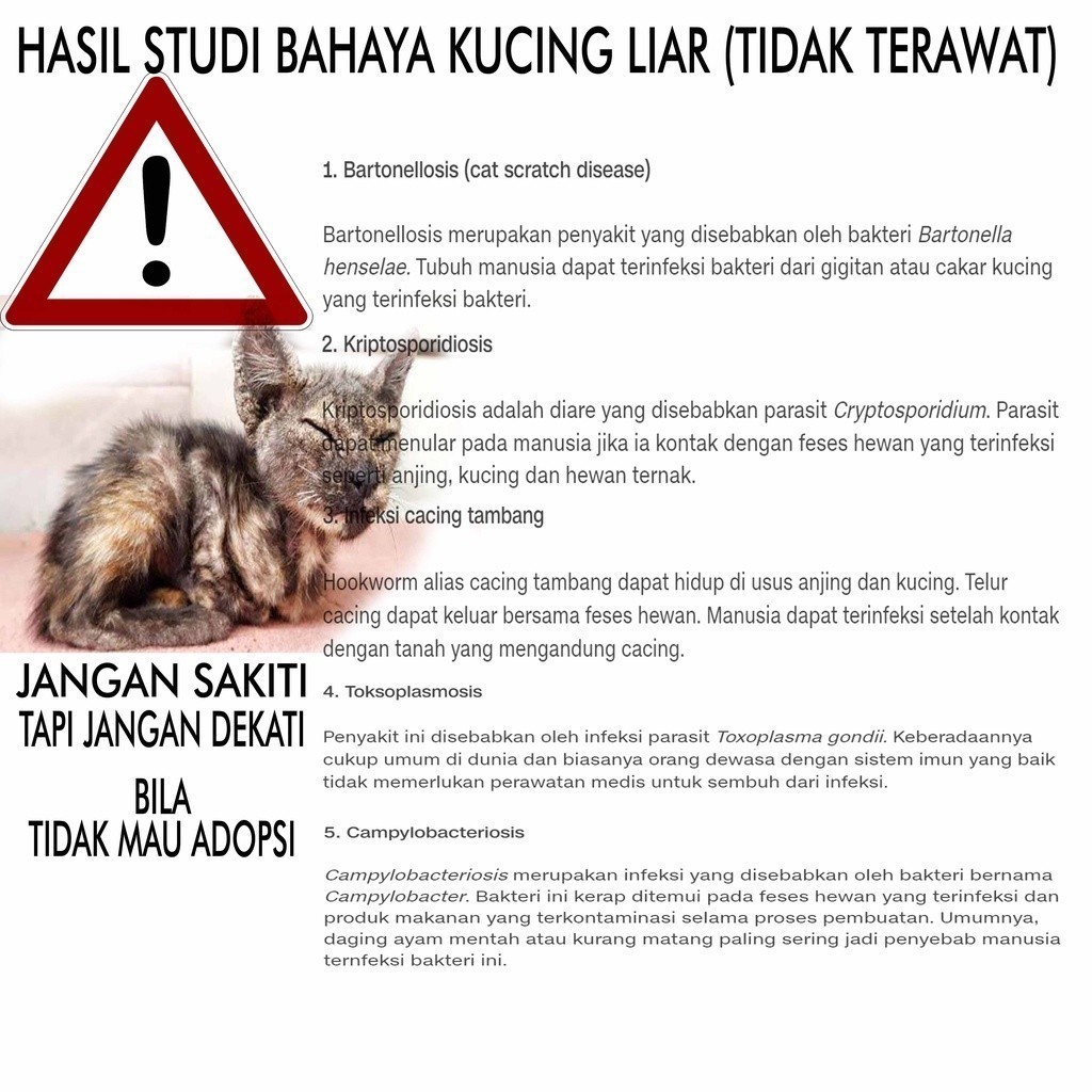 Jual Pengusir atau Anti anjing dan kucing pup pipis sembarangan tampa ...