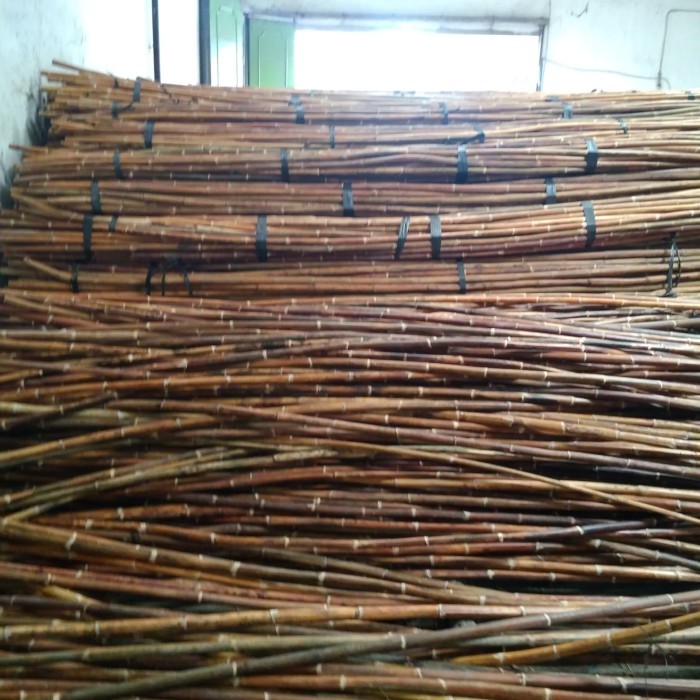 Jual Toya Rotan Kulit Asli Diameter 4 cm Panjang 180 cm Bentuk Bulat ...