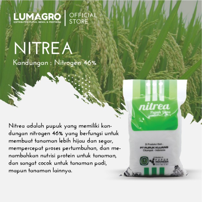 Jual Pupuk Nitrea 25kg Nitrogen Penyubur Daun Penghijau Tanaman Urea ...