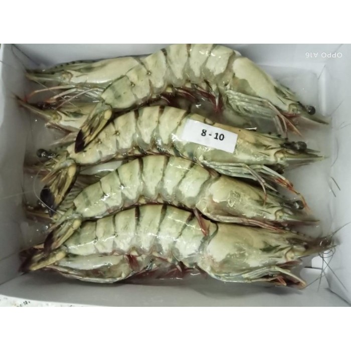 Jual Udang Tiger/ Udang Windu / Black Tiger Prawn Kualitas Eksport @ 1 ...