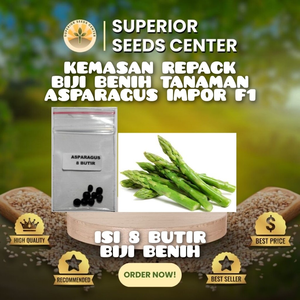 Jual 8 Butir Biji Benih Tanaman Asparagus (Kemasan Repack Plastik Klip ...