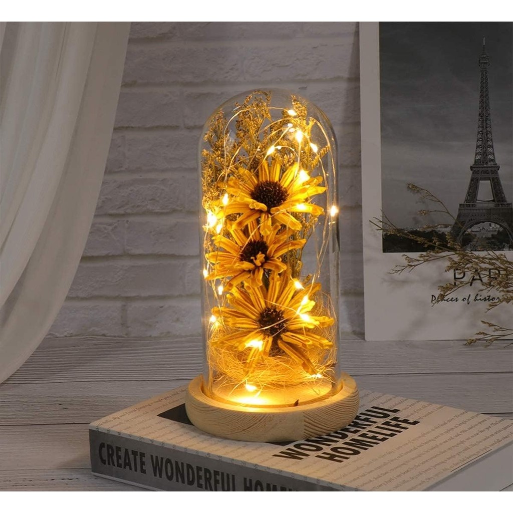Jual Lampu LED Bunga Matahari Dekorasi Sunflower Glass Dome - TH-88 ...