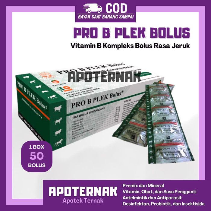 Jual Jual PRO B PLEK Bolus 1 Box (50 Bolus) Vitamin B komplek Untuk ...
