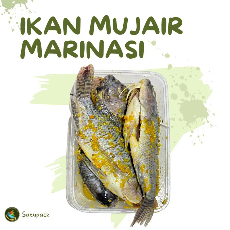 Jual IKAN MUJAIR MARINASI FRESH / IKAN SIAP GORENG | Shopee Indonesia