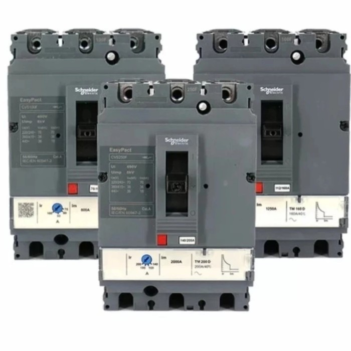 Jual Mccb Schneider Cvs100F 3P 16A/25A/32A/40A/50A/63A/80A/100A 3 Pole 36Ka | Shopee Indonesia