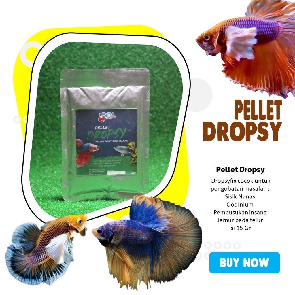 Jual Obat Antibiotik Ikan Hias Obat Ikan Cupang Obat Ikan Sisik Nanas Pellet Dropsy | Shopee ...