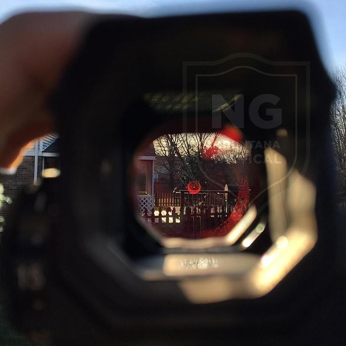 Jual DI Optical EG1 Red Dot Sight Holographic Scope Tactical Reflex ...