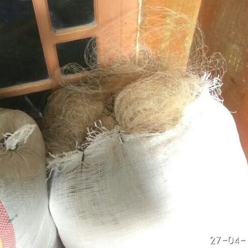 Jual jaring nelayan / jaring filter / media filter paket reseller 20kg ...