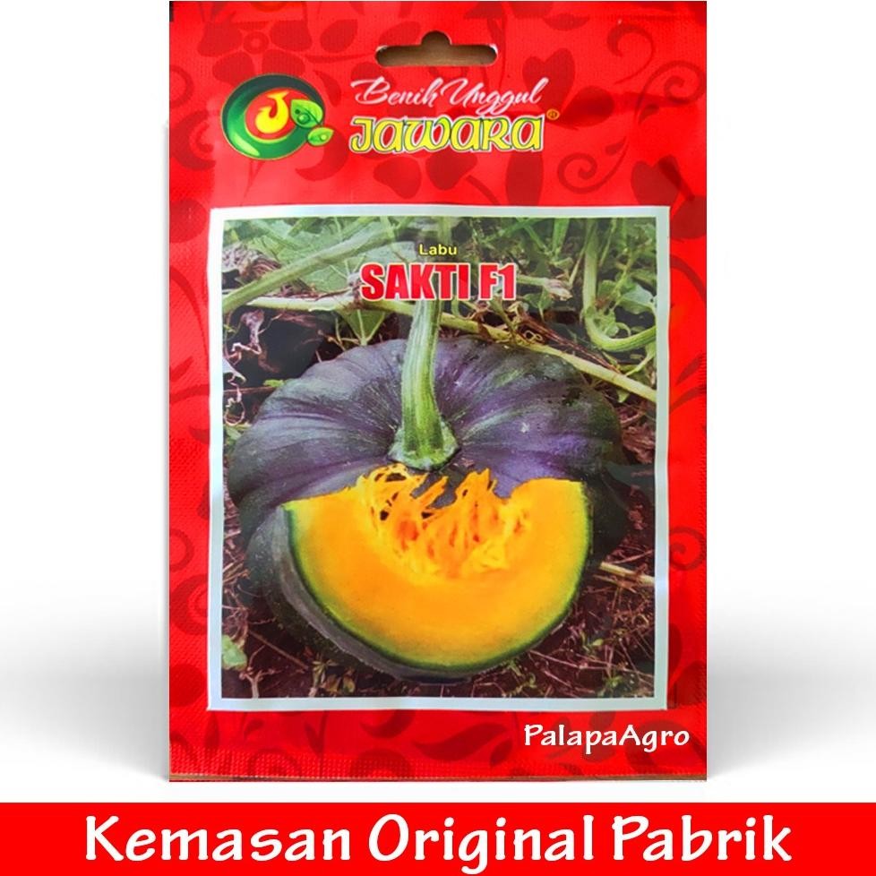 Jual Kk - WALUH LABU = Bibit Benih Biji Sayuran Buah Super Ungul Waluh ...