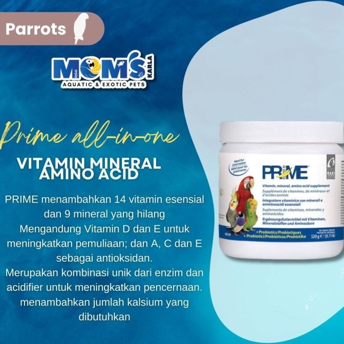 Jual Hagen Prime All-in-one Bird Supplement Vitamin Mineral Amini Acid ...
