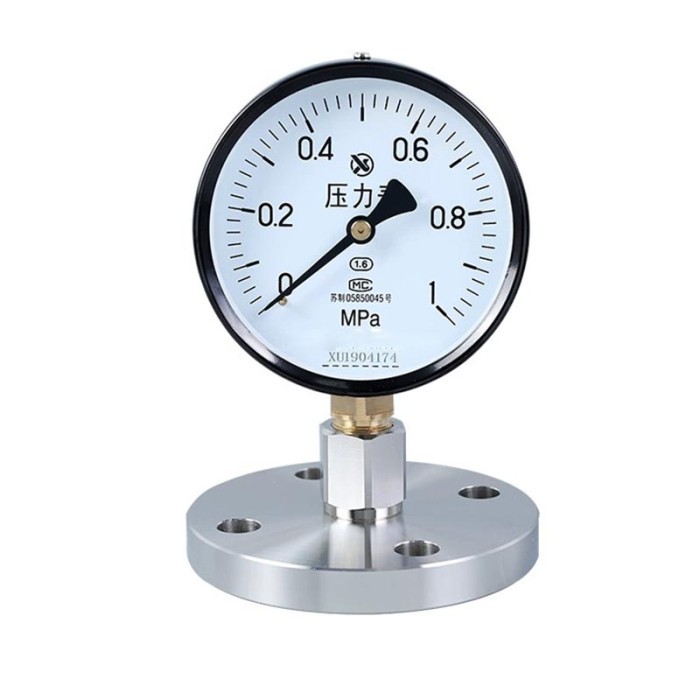 Jual YTP-100MF series DN25 flange diaphragm pressure gauge 0.1-10MPa HG20592 stainless steel ...