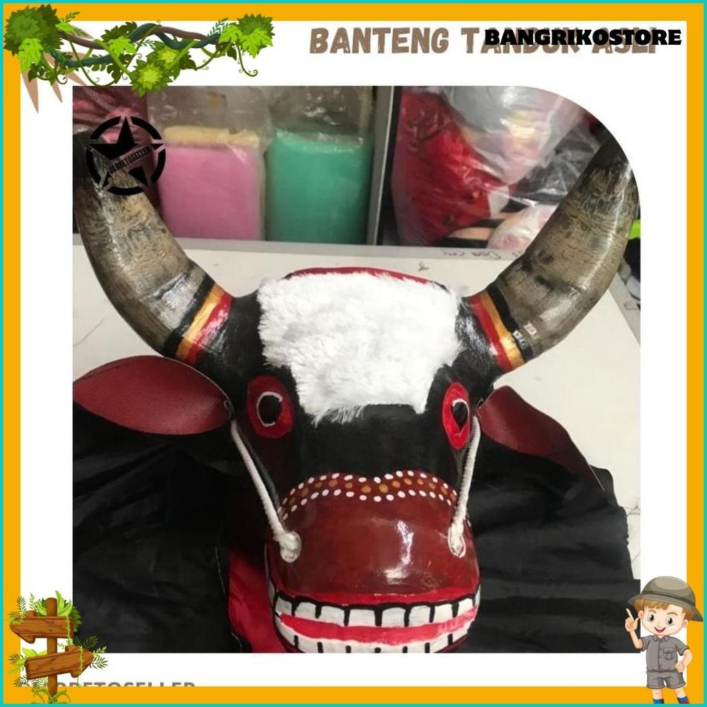 Jual Bantengan Sungu Asli Sapi || Bantengan Tanduk Asli || Bantengan ...