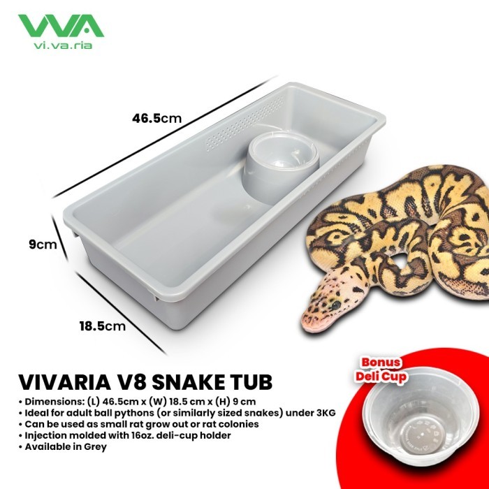Jual Vivaria V8 Snake Tub Kotak Ball Python BP Ular | Shopee Indonesia