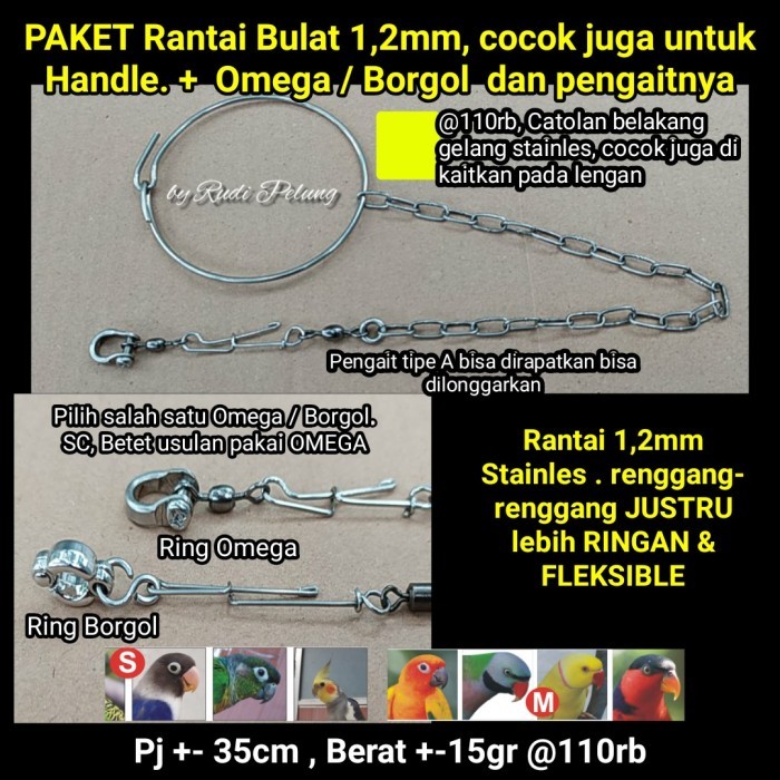 Jual PAKET RANTAI KAKI COCKATIEL TERMASUK RING BORGOL | Shopee Indonesia