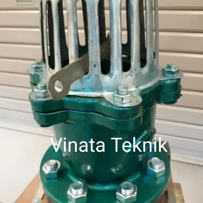 Jual Foot Valve 3 Inch Dn 80 Mizu Cast Iron Jis 10K Flange Foot Klep ...