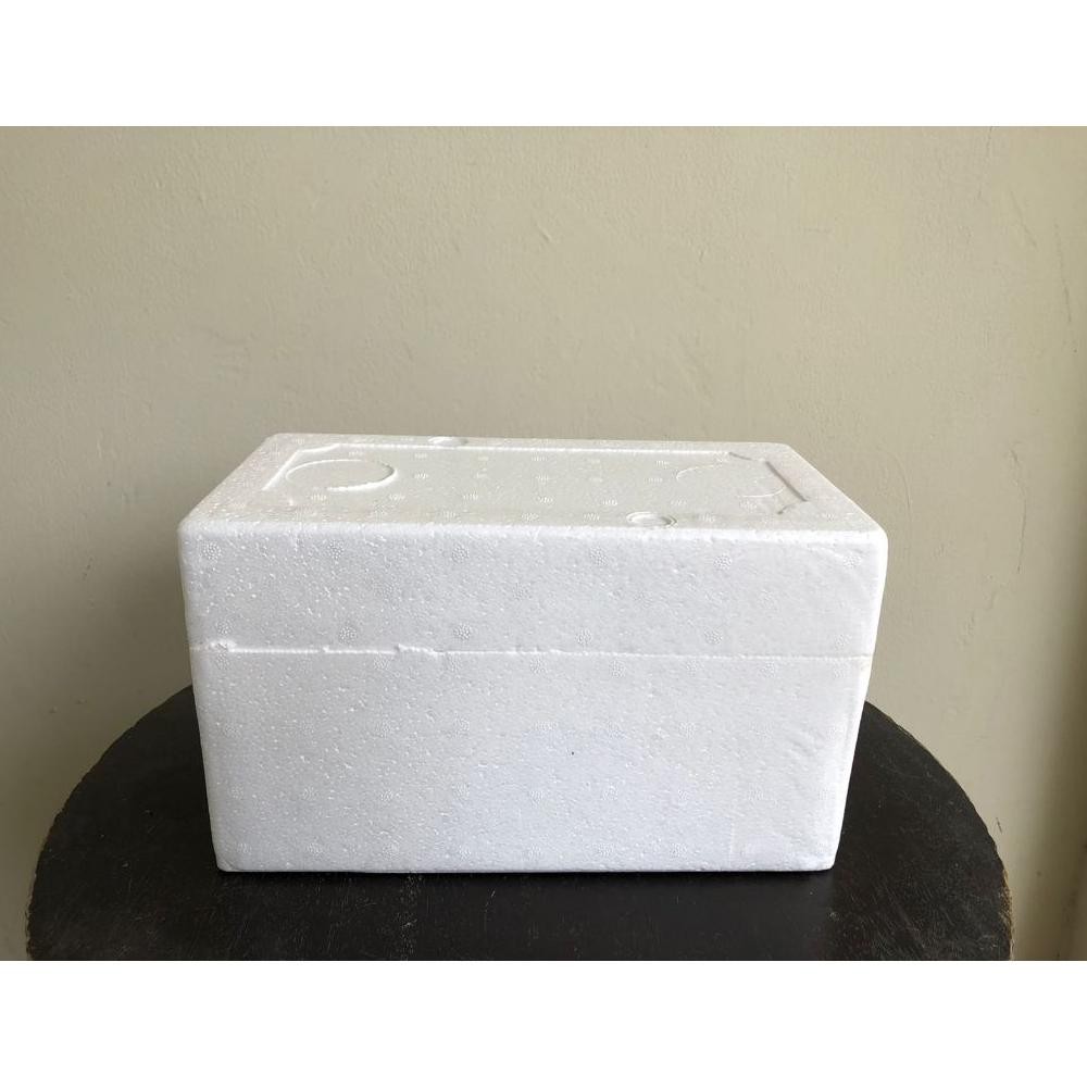 Jual New Box Styrofoam 2Kg 28,5 X 15,5 X 16,5Cm Box Foam Box Packing ...