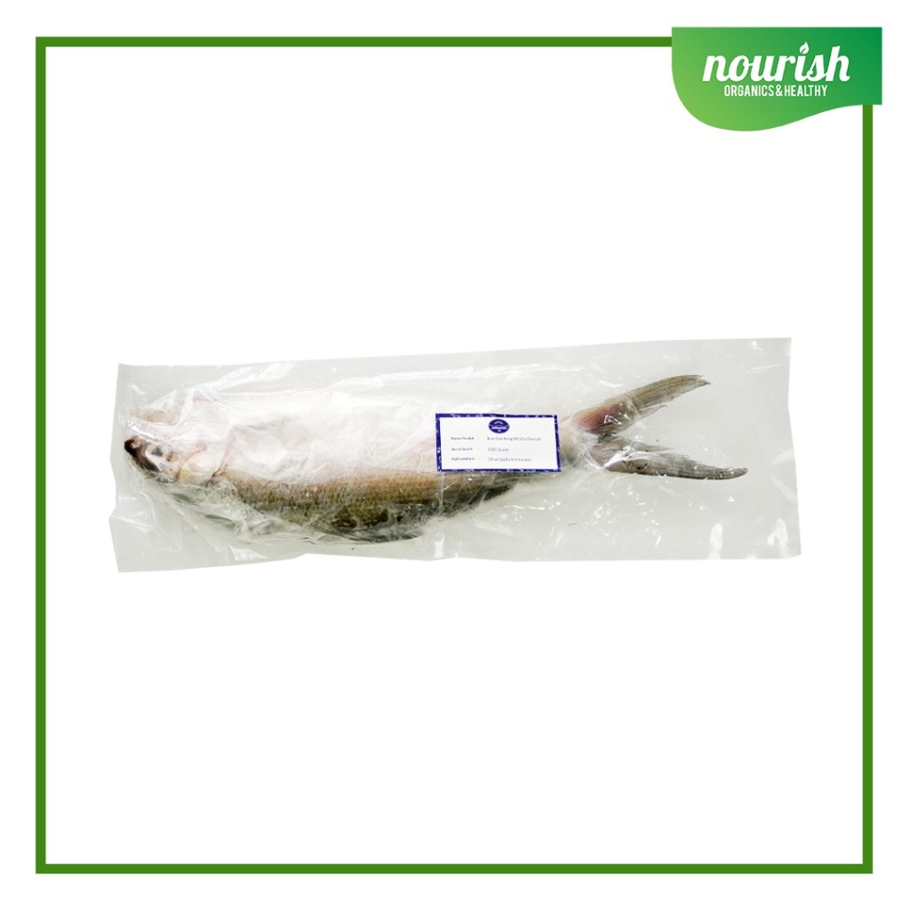 Jual Ikan Bandeng Frozen 500gr | Shopee Indonesia