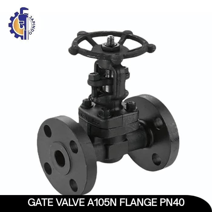Jual Gate Valve CS A105N Forged Steel PN40 Flange 3/4 inchi DN20 ...