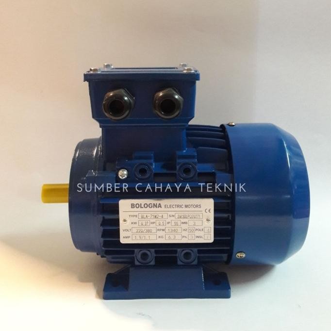 Jual Bologna 0.5 Hp 3 Phase Dinamo / Elektro Motor B3 4 Pole Bagus | Shopee Indonesia