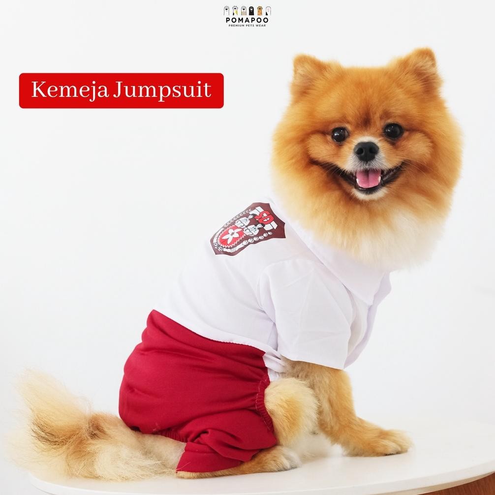 Jual gd-12 POMAPOO - Kostum Kucing dan Kostum Anjing Seragam SD Premium ...