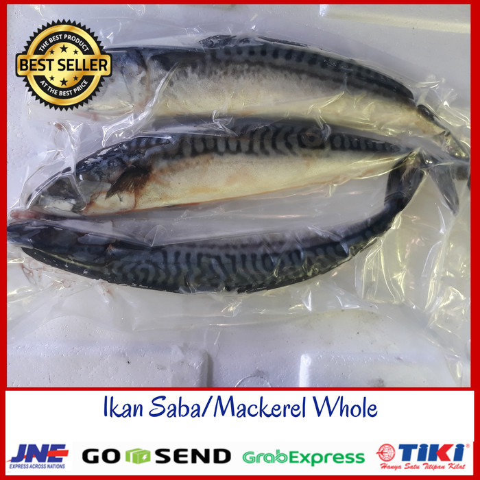 Jual Ikan Norwegian Saba Premium Mackerel Kg/ Ikan Makarel / Ikan Saba ...