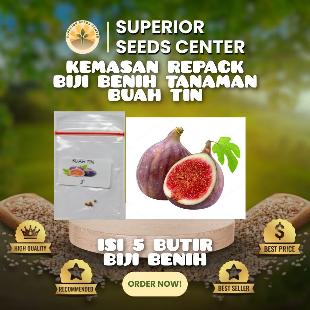 Jual 5 Butir Biji Benih Tanaman Buah Tin | Ara (Kemasan Repack Plastik Klip) | Shopee Indonesia