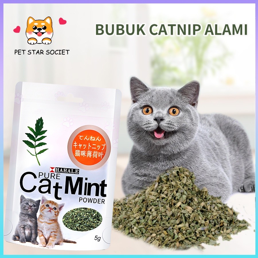 Jual Catnip SASET Ganja Mainan Kucing Obat Catmint Penenang Serbuk ...
