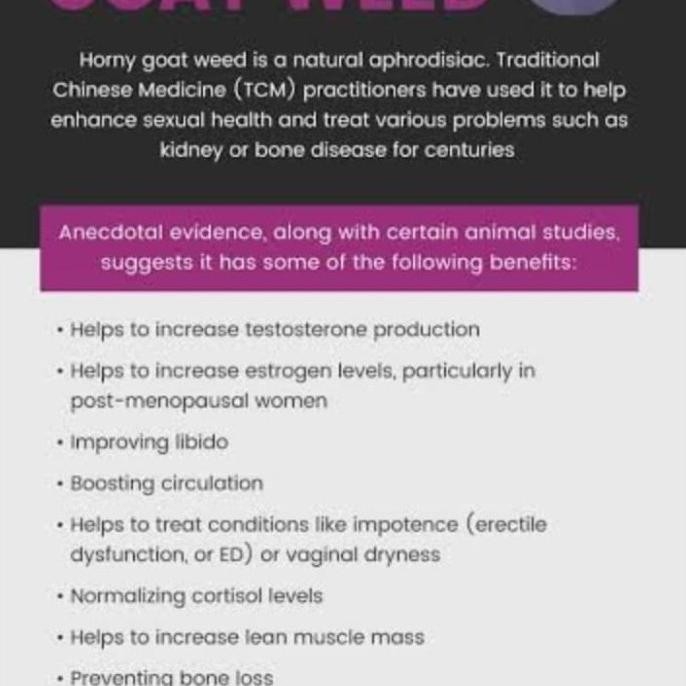 Jual Horny Goat Weed Tea : Herba Epimedium Leaf Tea Herbal Tea Elif Tea ...