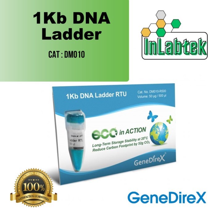 Jual 1Kb DNA Ladder 500 l Marker Ready to Use (DM010) - Genedirex ...