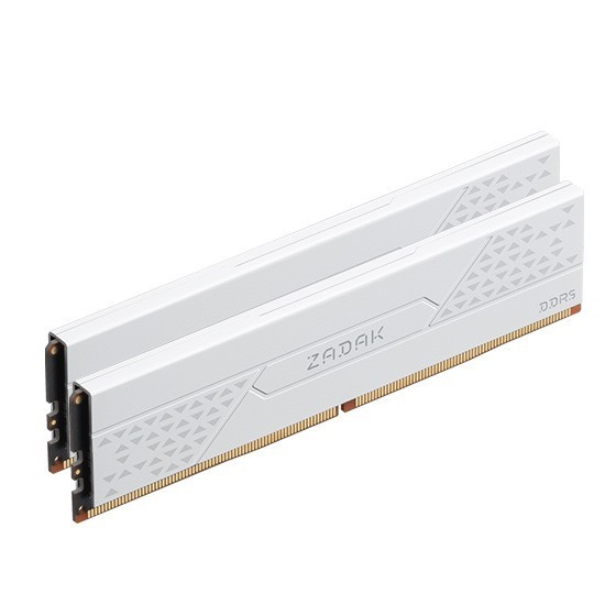 Jual Memory ZADAK TWIST DDR5 32GB (2x16GB) PC6000Mhz - White | Shopee ...