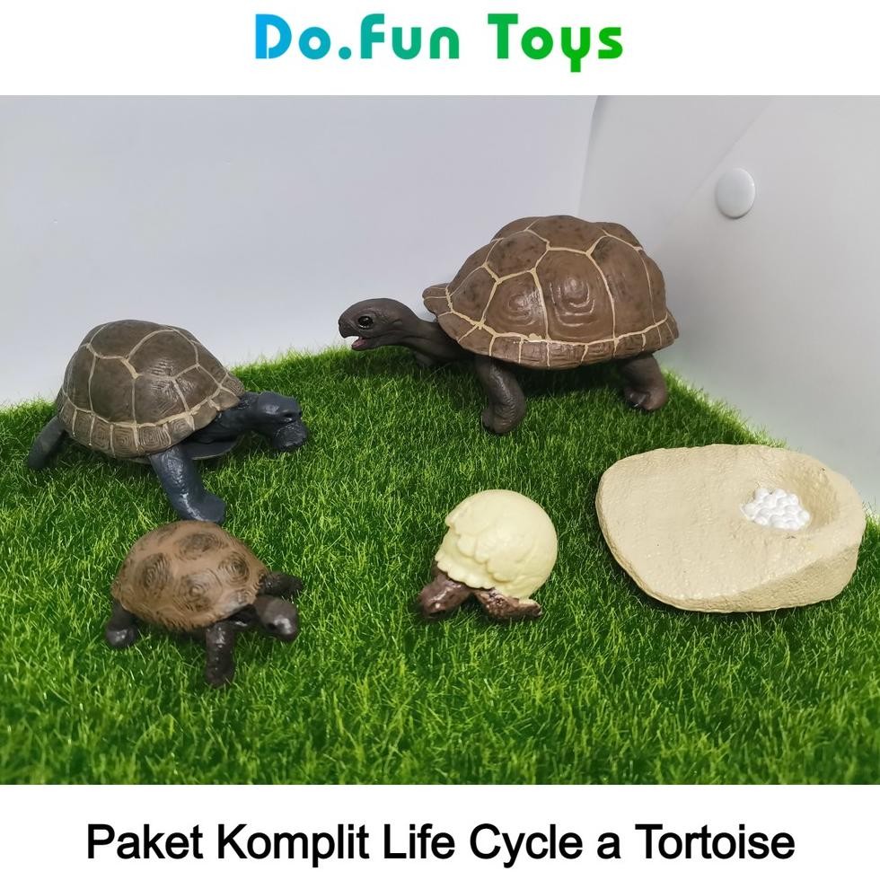 Jual Animal Figurine | Tortoise / Mainan Niatur Kura Kura | Shopee ...