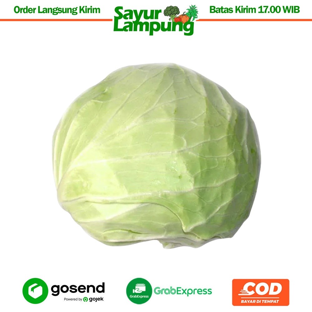 Jual Kol/Kubis 1 Kg - Sayur Lampung | Shopee Indonesia