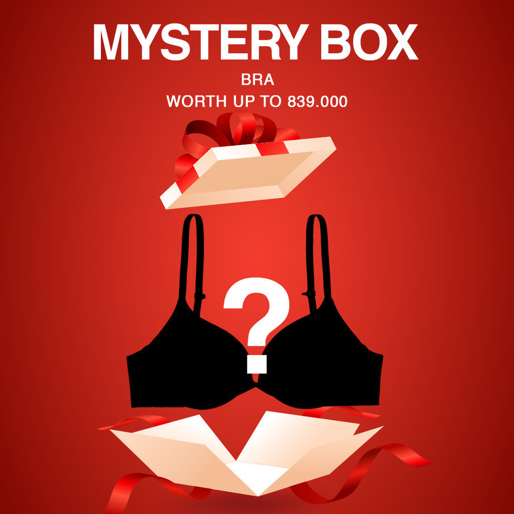Jual La Senza Mystery Box BRA Edition | Shopee Indonesia