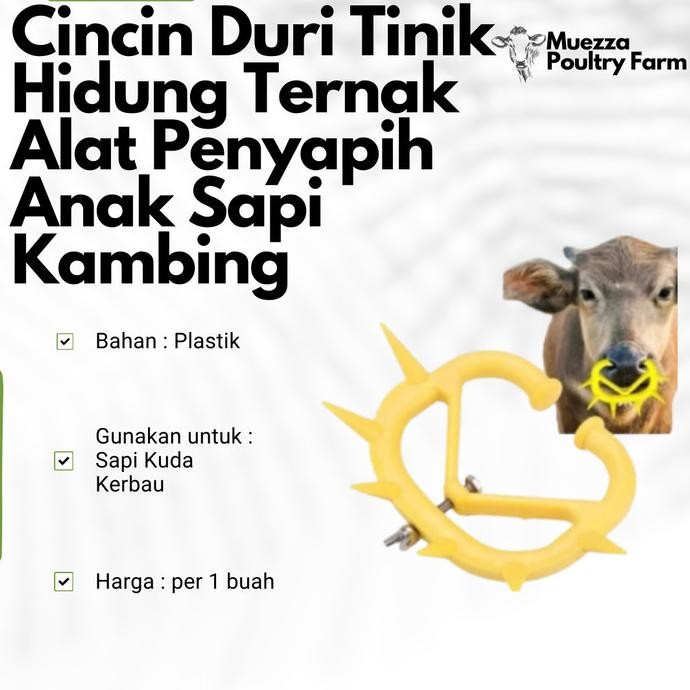 Jual COD Alat Penyapih Anak Sapi, Kuda, Kerbau Cincin Duri Tinik Hidung ...