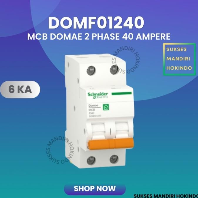 Jual MCB 2 Phase 40 Ampere 2p 40a 2pole Schneider Domae Baru 6kA ORI SNI | Shopee Indonesia