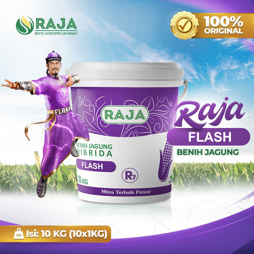 Jual Benih Jagung RAJA R7 Flash - 10kg Kemasan Pail/Ember | Shopee Indonesia