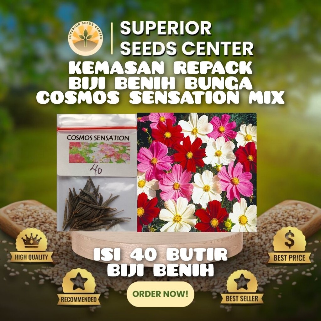 Jual 40 Butir Biji Benih Bunga Cosmos Sensation Mix Warna (Kemasan ...