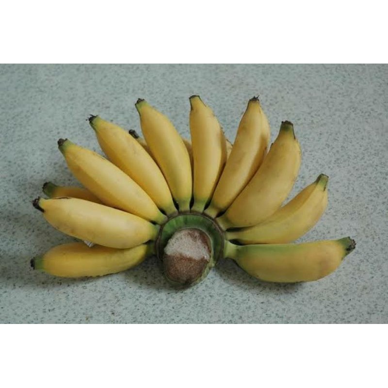 Jual pisang mas muli/limpung 1kg | Shopee Indonesia