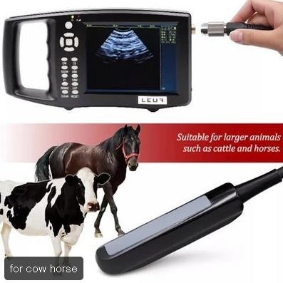 Jual Alat Usg Hewan Ternak Portable Alat Tes Kehamilan Sapi Babi Kuda ...