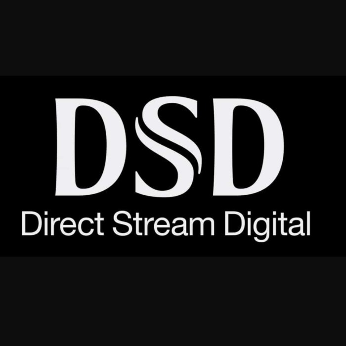 Jual DSD file hi-res audio 32gb format dsf 1bit audiophile demo speaker ...