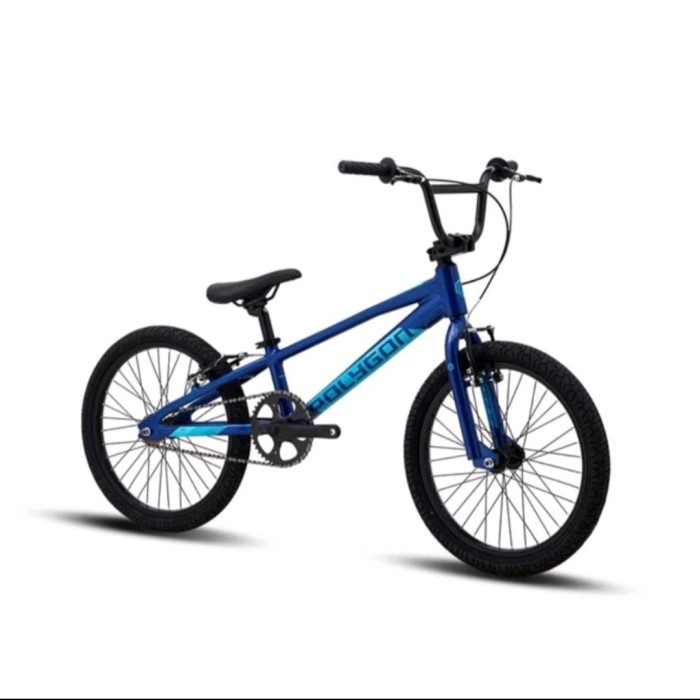 Jual Polygon Sepeda BMX 20 Inch Rogue Alloy | Shopee Indonesia