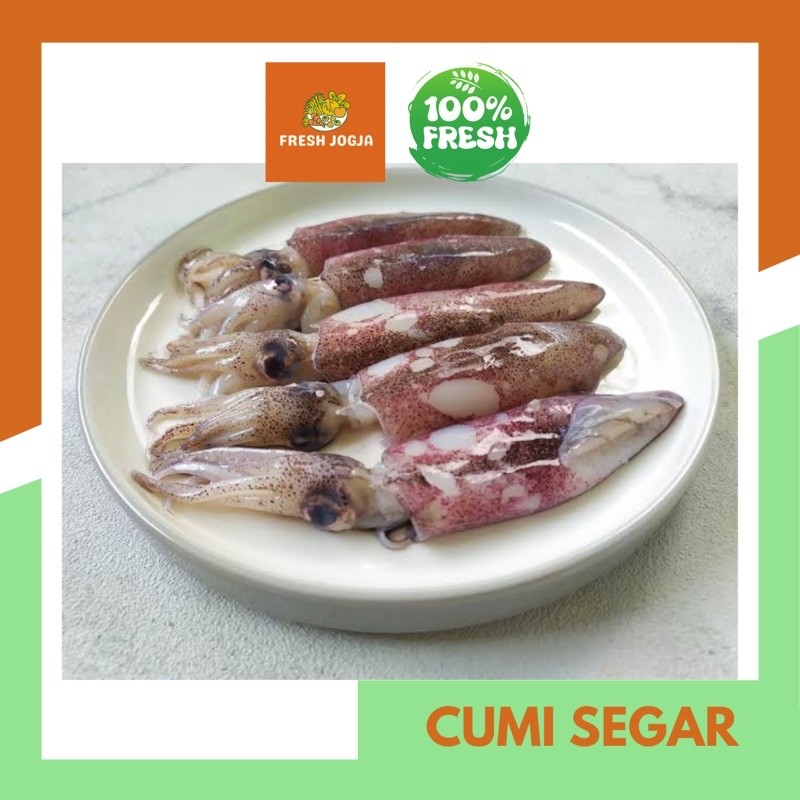 Jual Cumi Segar Ukuran Sedang dan Besar per 250gr | Fresh Jogja ...