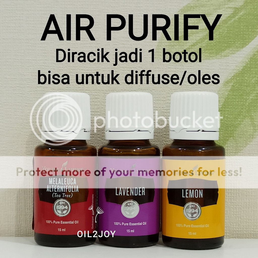 Jual Air Purify Tea Tree Lavender Lemon YL YLEO Essential Oil 5ml 15ml ...