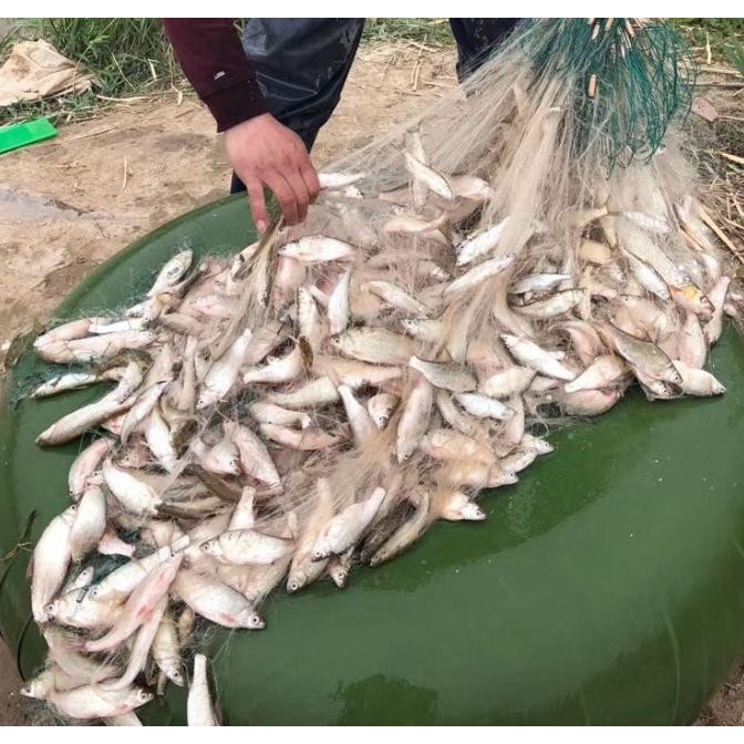 Jual JALA JARING PUKAT IKAN UDANG 73m SENAR 0.20 LEBAR MATA 70X80 YOKO ...