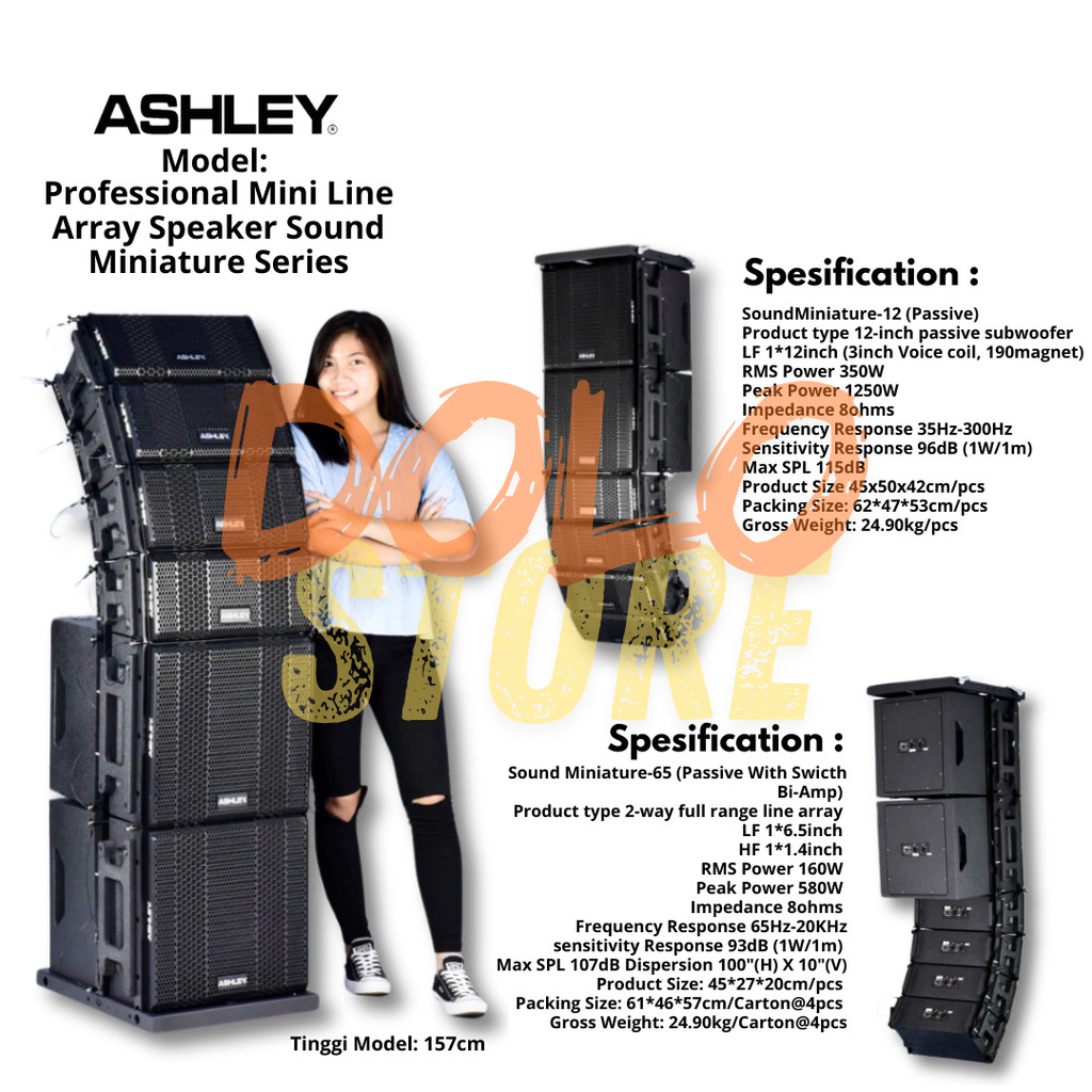 Jual ORIGINAL ASHLEY PAKET PROFESSIONAL MINI LINE ARRAY SPEAKER SOUND ...