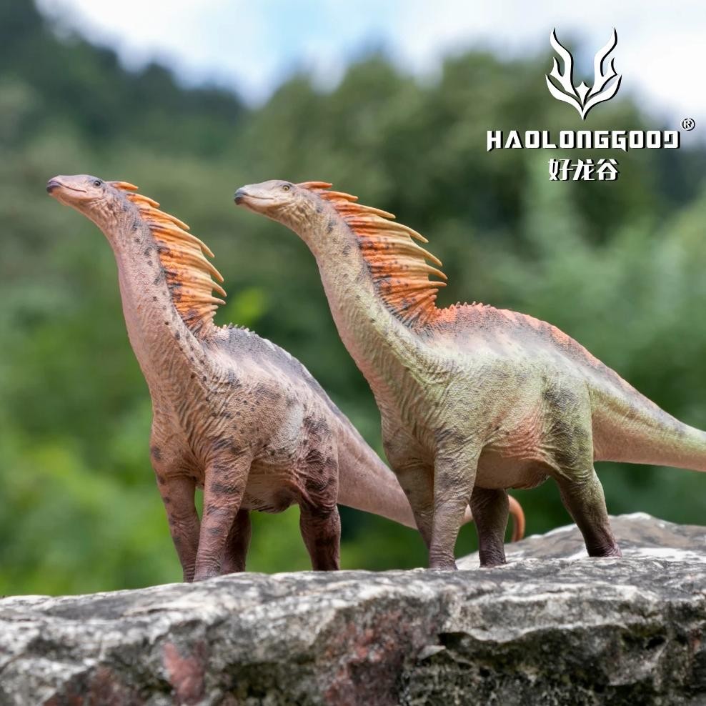Jual haolonggood 1:35 scale dinosaur figures amargasaurus toy ...