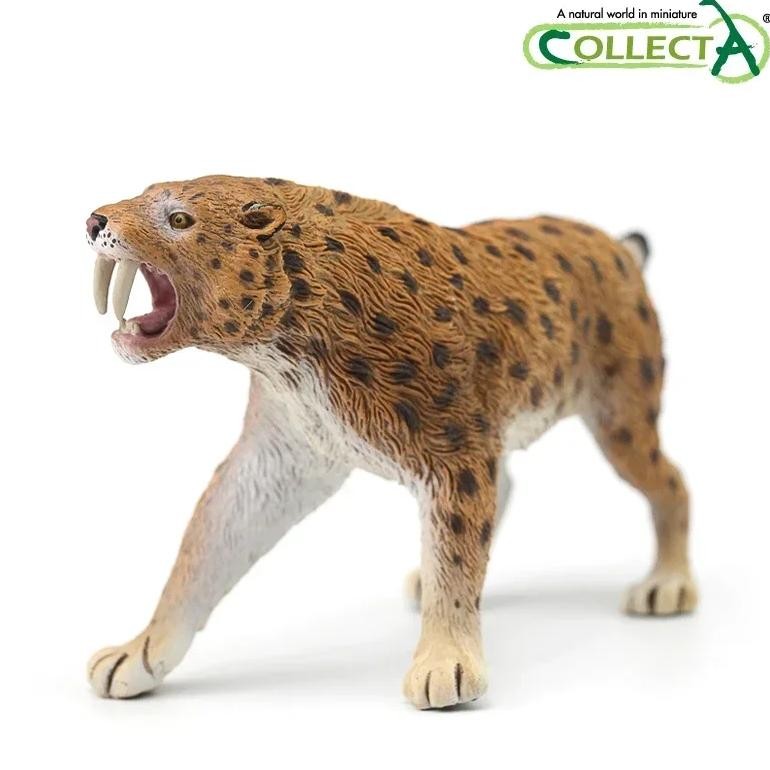 Jual collecta smilodon saber-toothed tiger model animal figure toy ...