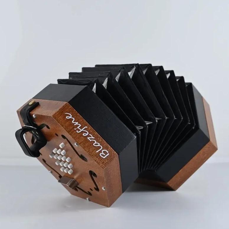 Jual 30 keyblazefine accordion anglo english hexagon push-pull same ...